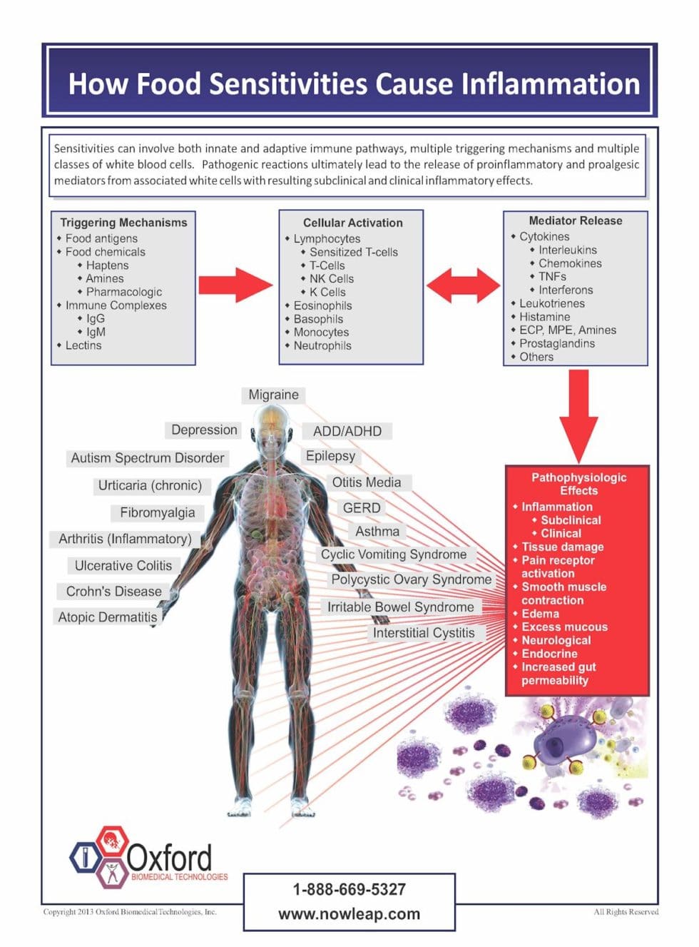 Food Sensitivities | Unique Nutrition Solutions, LLC