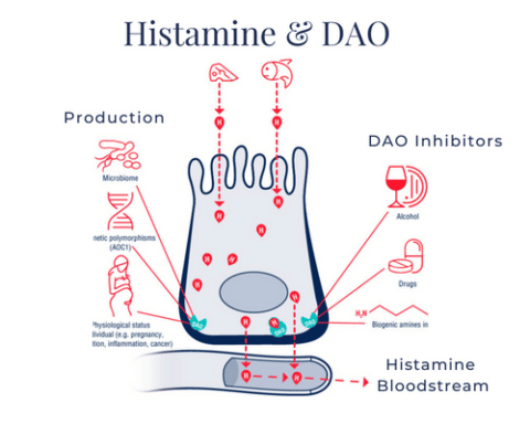 Unique Nutrition Solutions, LLC Histamine Intolerance